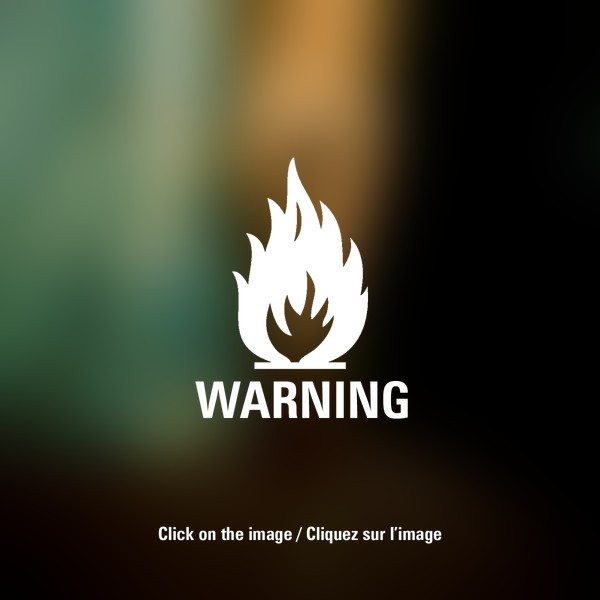 Low Bird by Duncan Ritchie, Photography, Digital | Art Limited