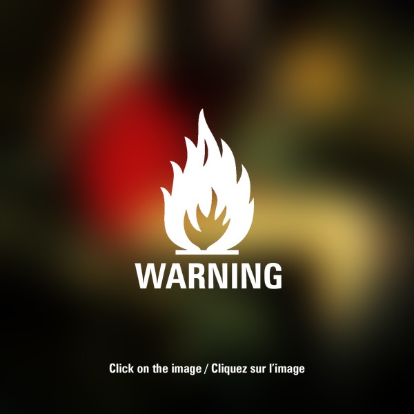 Low Bird by Duncan Ritchie, Photography, Digital | Art Limited