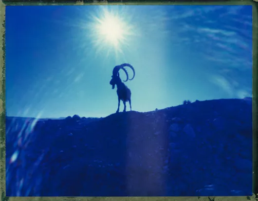 Yael III by Dan Isaac Wallin, Photography, Instant film | Art Limited