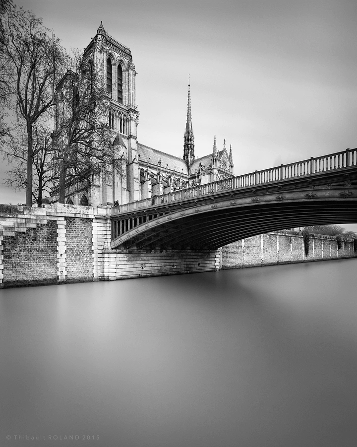 Notre Dame Pont au Double. by Thibault Roland, art work | Art Limited