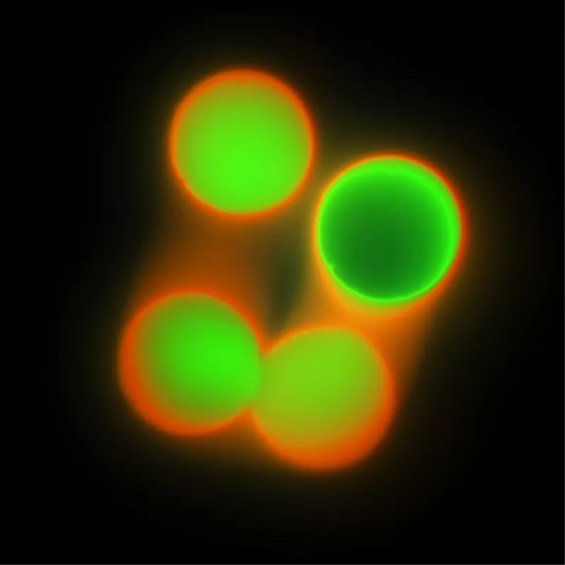 Ambiguous Space 8 by Bernd Walz, Photography, Digital | Art Limited