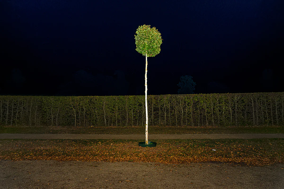 Formschnitt 25 by Bernd Walz, Photography, Digital | Art Limited