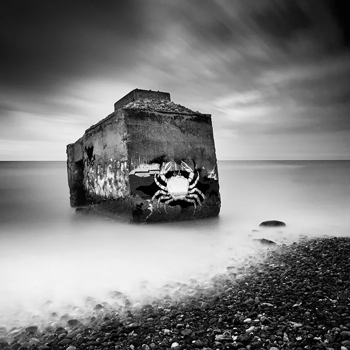 Tilted Cube With Crab by Bernd Walz, Photography, Digital | Art Limited
