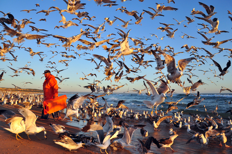 Explosion of Life by João Coutinho, art work | Art Limited