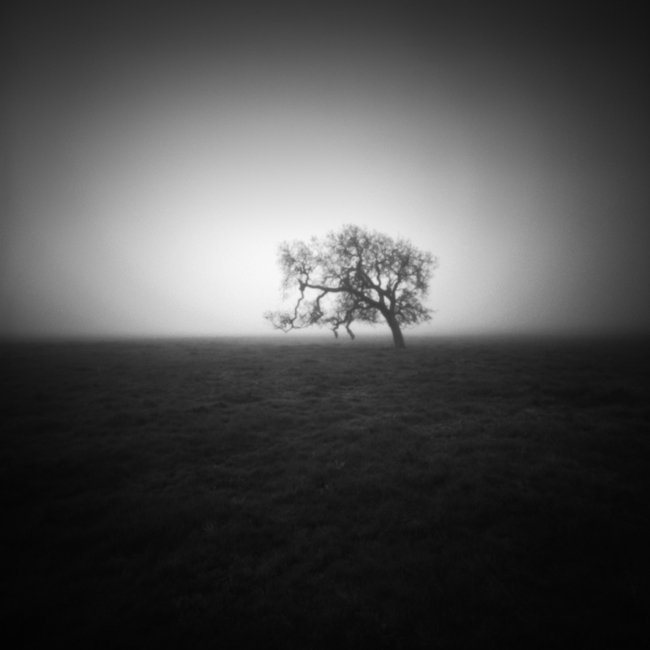 Sequestered-I I by S (maxx) Landeros, Photography, Pinhole | Art Limited