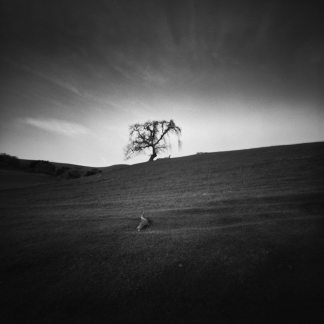 L A C U N A by S (maxx) Landeros, Photography, Pinhole | Art Limited