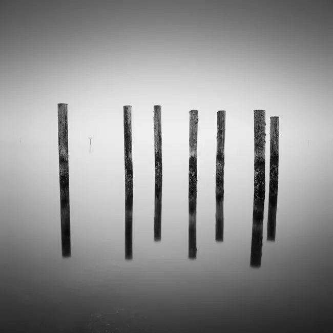 Seven Sticks by S (maxx) Landeros, Photography, Medium-format film ...
