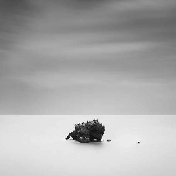 Ranee Palone Flynn, It’s Alright To Hold You Here With Me, Photography ...