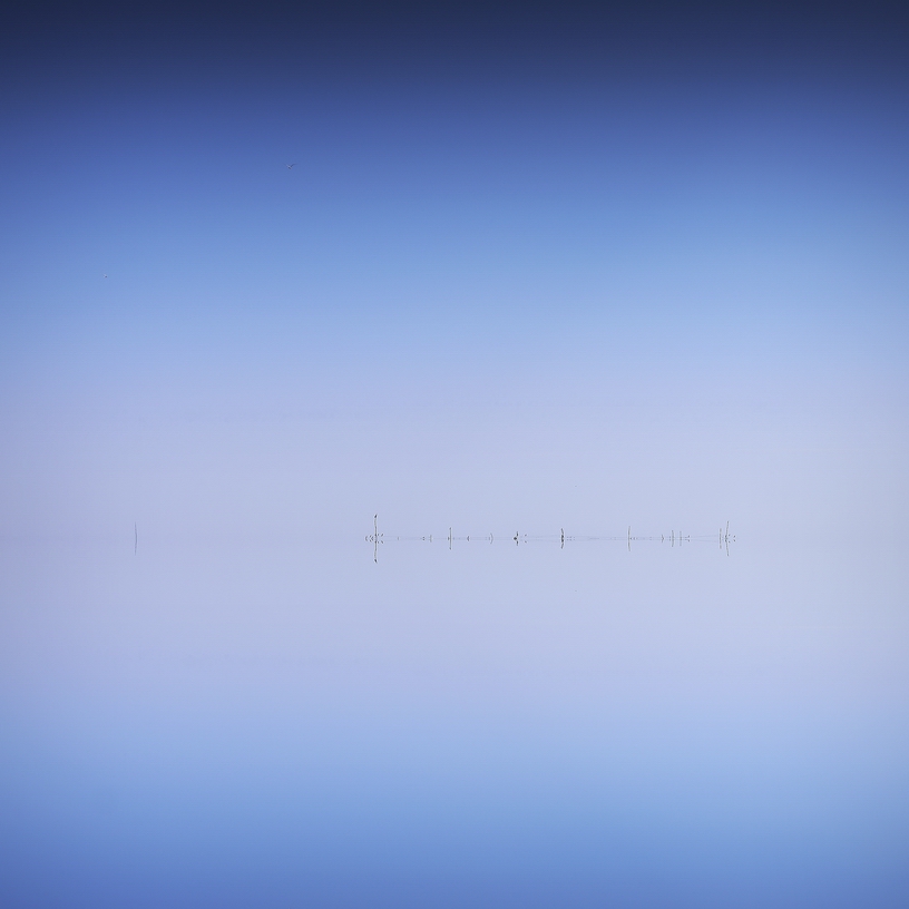 Birds Nest by Alexandru Crisan, Digital art, Manipulation | Art Limited