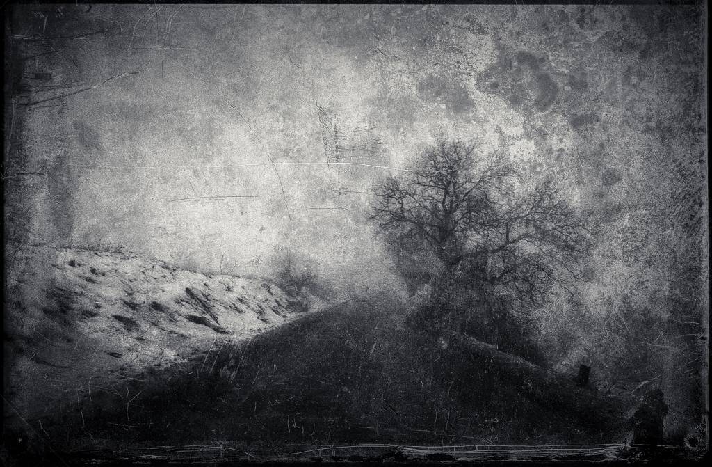 Cursed tree (series Fairytales) par Alexandru Crisan, Photographie ...