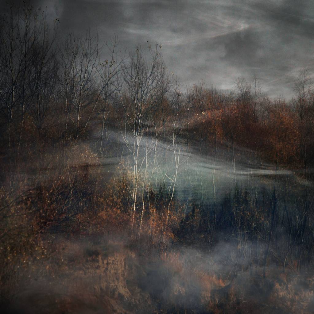 Fall in The Garden of Eden by Simona Andrei, Photography, Digital | Art ...