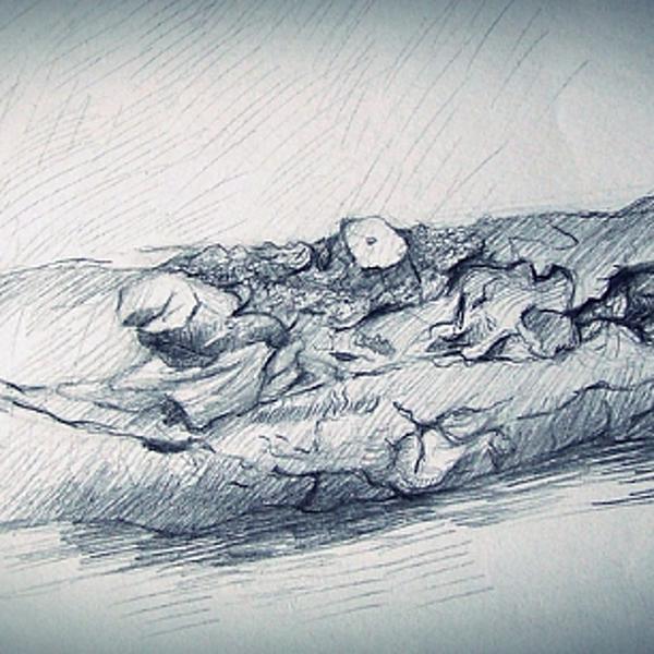 Study Of Tree Branch I by Sonia Giraud, Drawing, Pencil | Art Limited