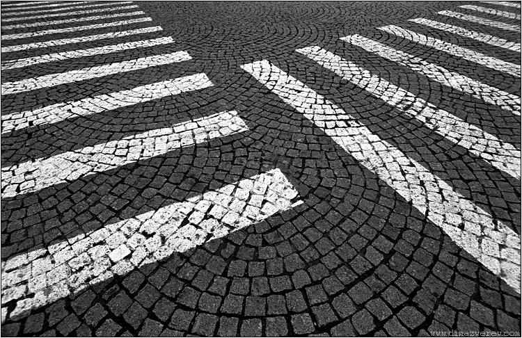 Zebra Crossing by Dima Zverev, art work | Art Limited