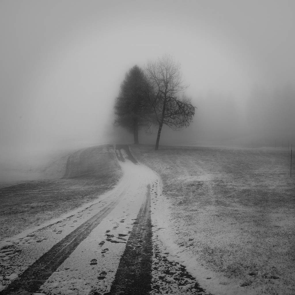 Winter on its way - 6 by Véronique VS, art work