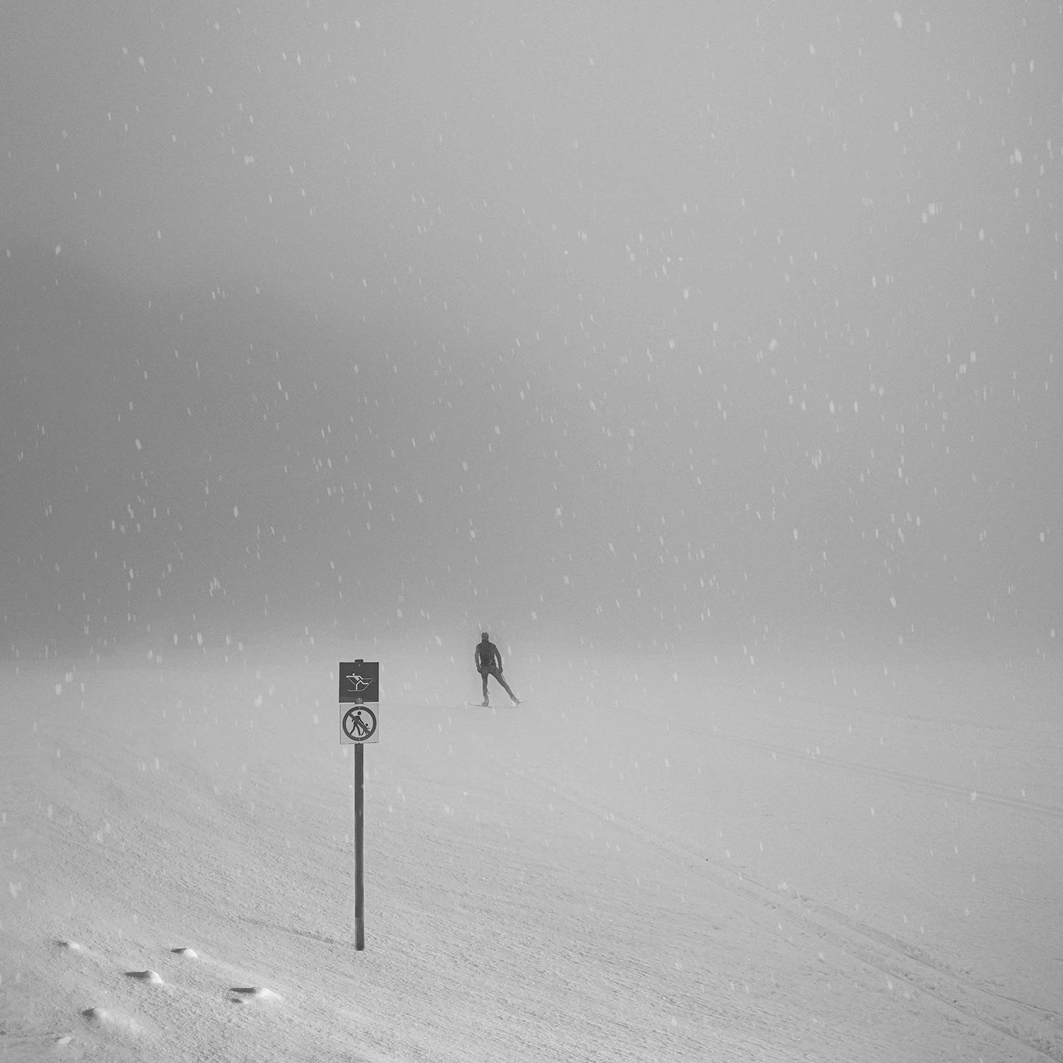 Let it snow, let it snow - 4 by Véronique VS, Photography, Digital ...