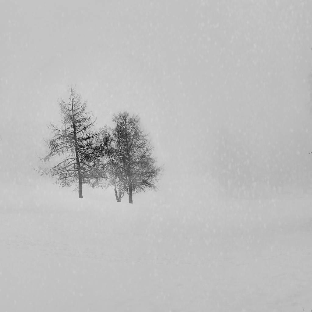 Shivering par Véronique VS, Photographie, Numérique | Art Limited