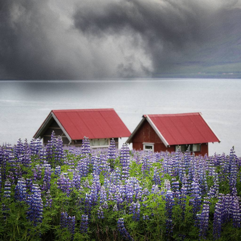 Balade islandaise by Véronique VS, Photography, Digital