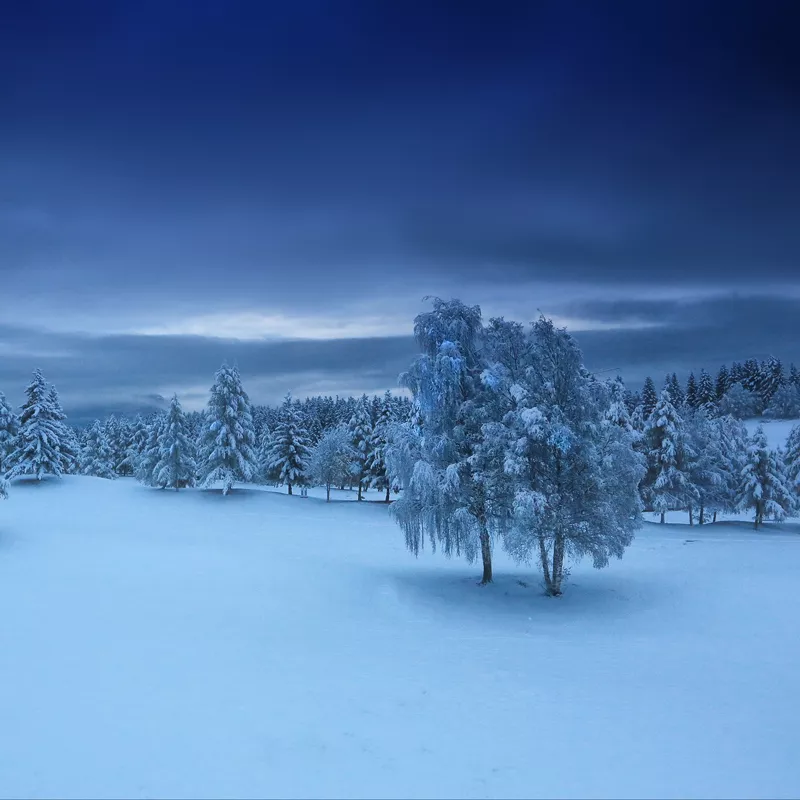 Couleur Froid Déjà ! by Véronique VS, Photography, Digital | Art Limited
