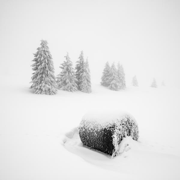 Puddle by Martin Rak, Photography, Digital | Art Limited