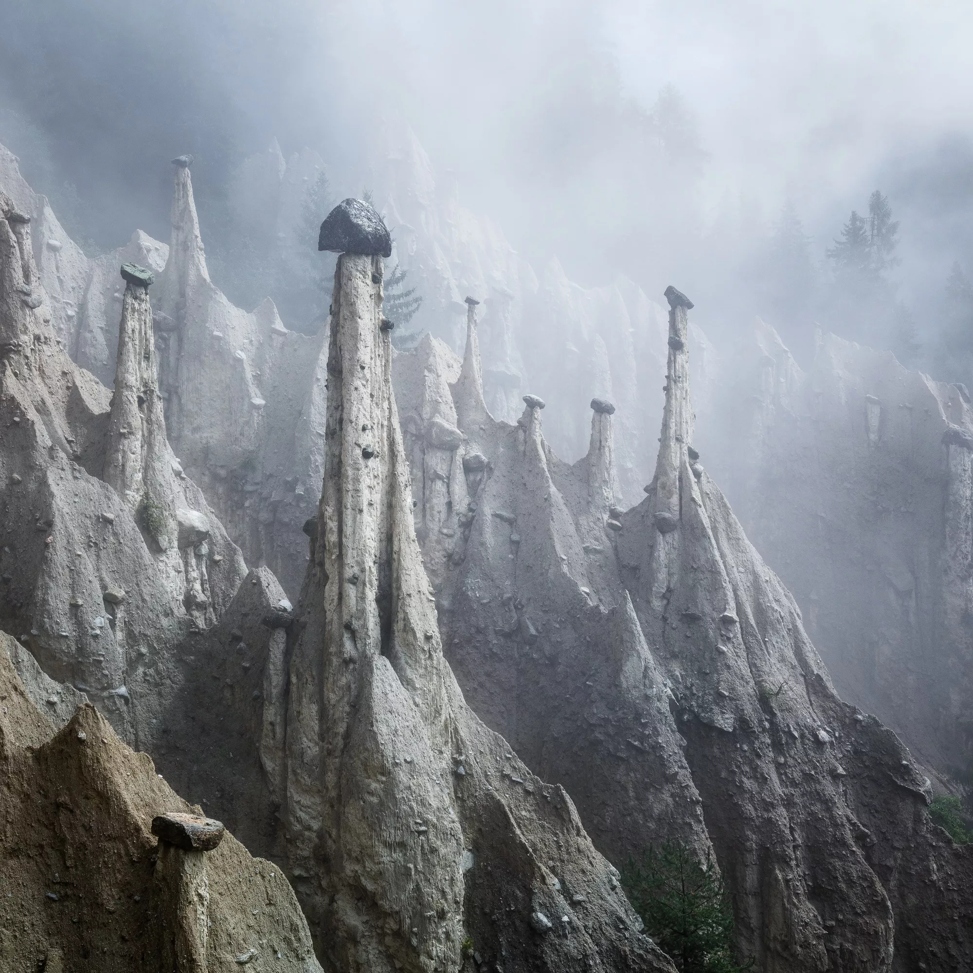 Alien Mushrooms by Martin Rak, Photography, Digital | Art Limited