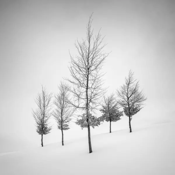 Baltic Dreaming #15 by Martin Rak, Photography, Digital | Art Limited