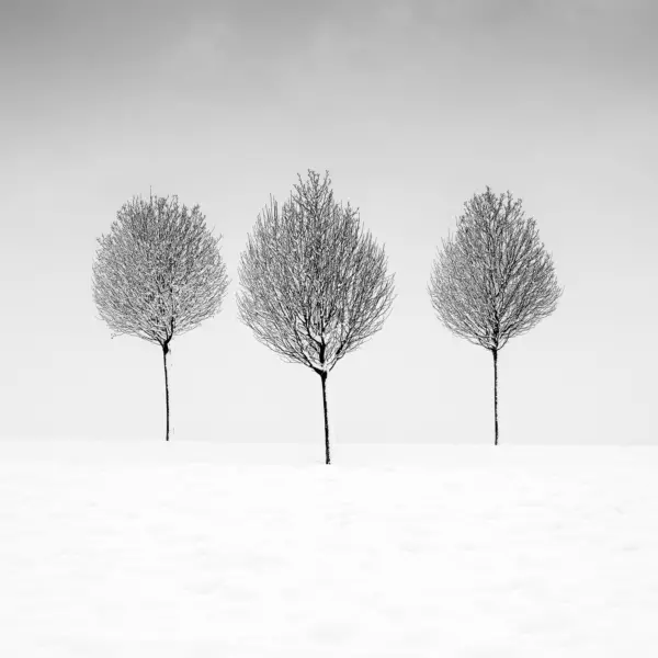 Baltic Dreaming #15 by Martin Rak, Photography, Digital | Art Limited
