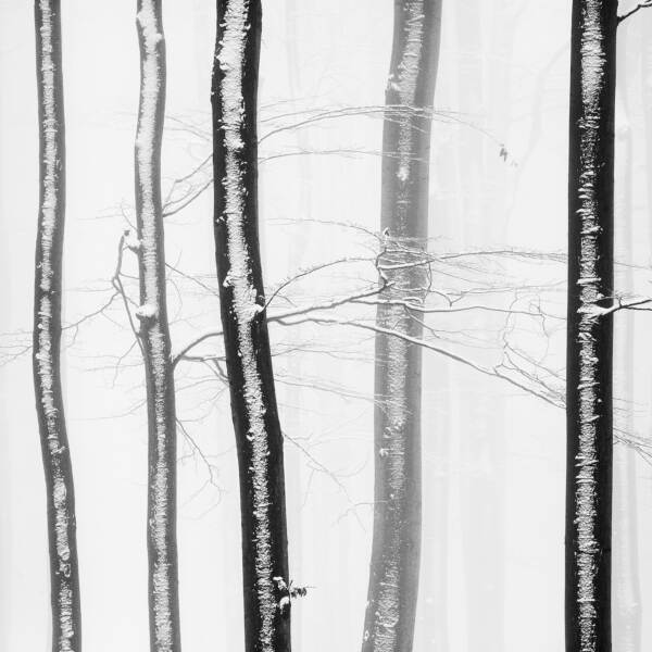 Jumping Towers by Martin Rak, Photography, Digital | Art Limited