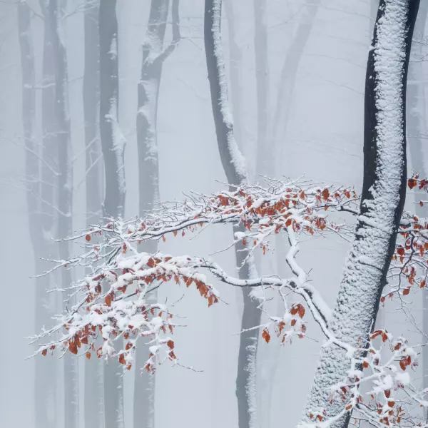 Black Hole by Martin Rak, Photography, Digital | Art Limited