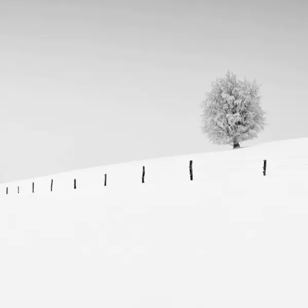 Black Hole by Martin Rak, Photography, Digital | Art Limited