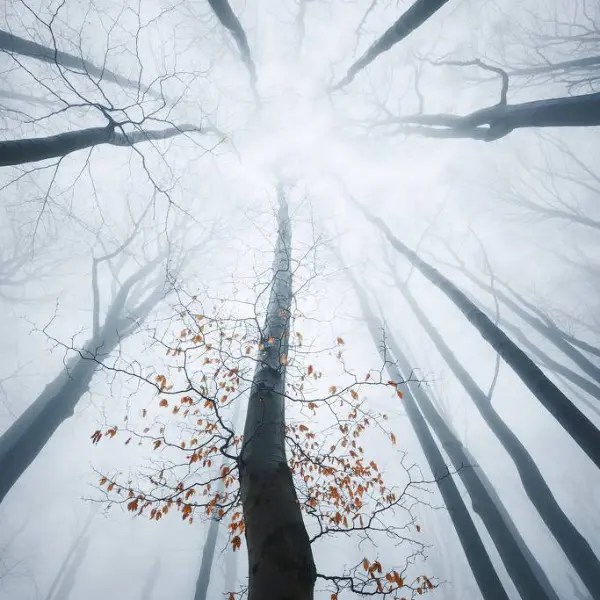 West Pier #2 by Martin Rak, Photography, Digital | Art Limited