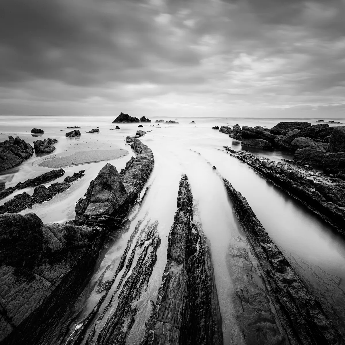 Serpents by Martin Rak, Photography, Digital | Art Limited