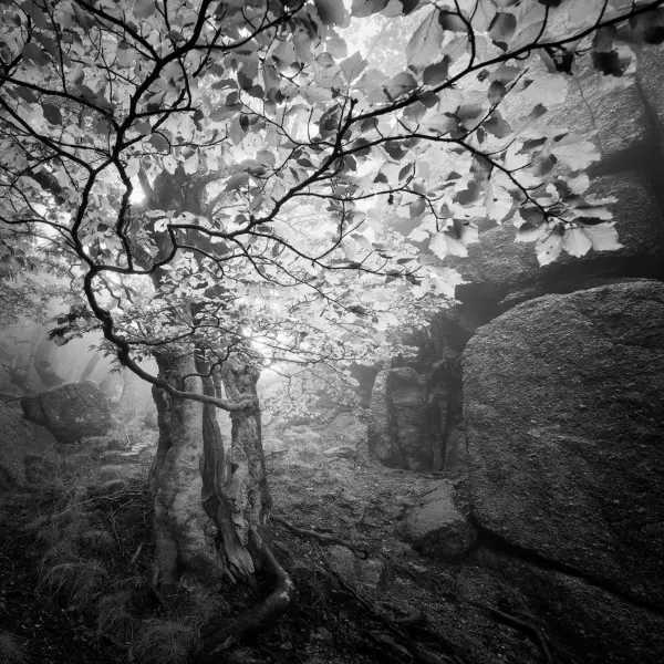 Black Hole by Martin Rak, Photography, Digital | Art Limited