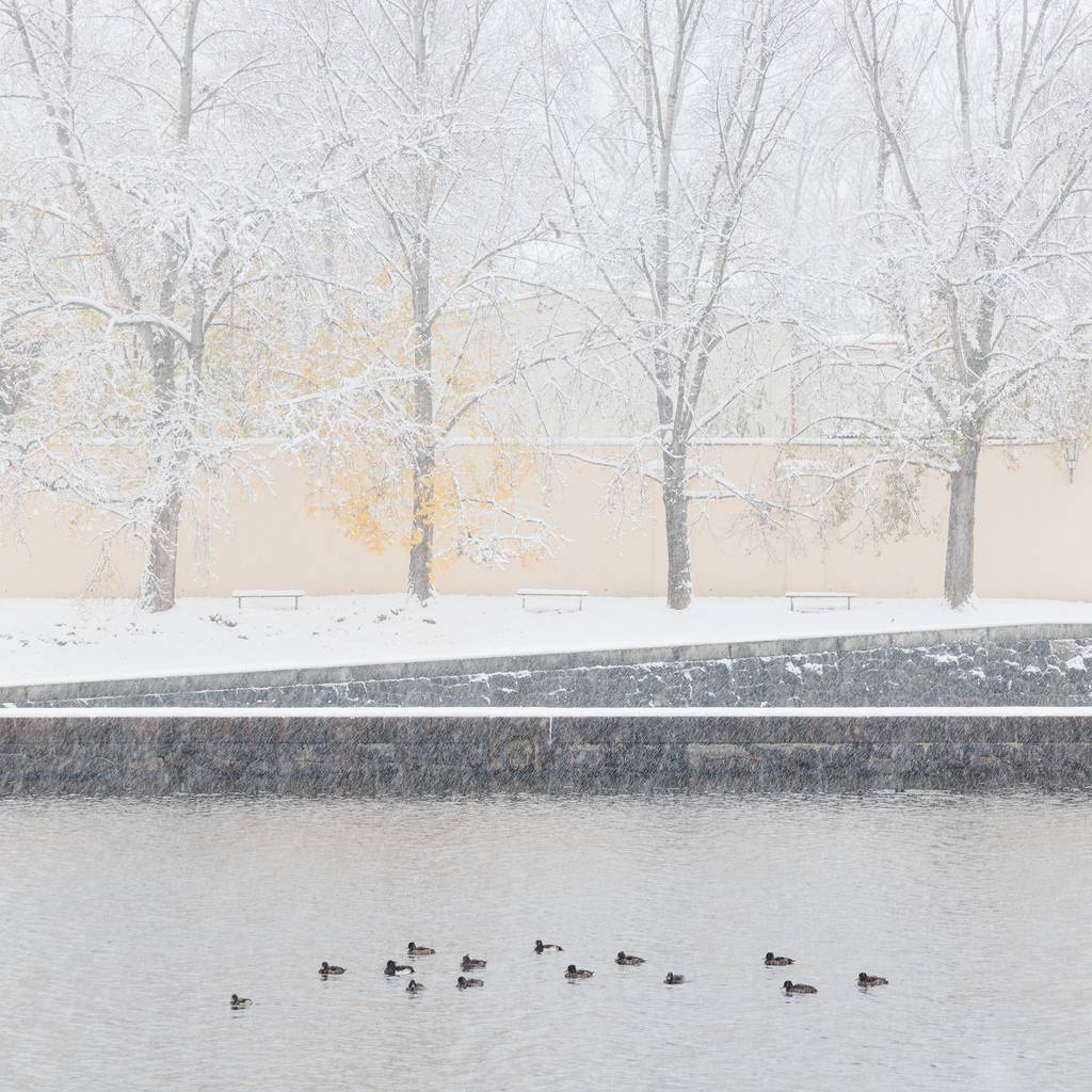 Snowfall in Prague by Martin Rak, Photography, Digital | Art Limited