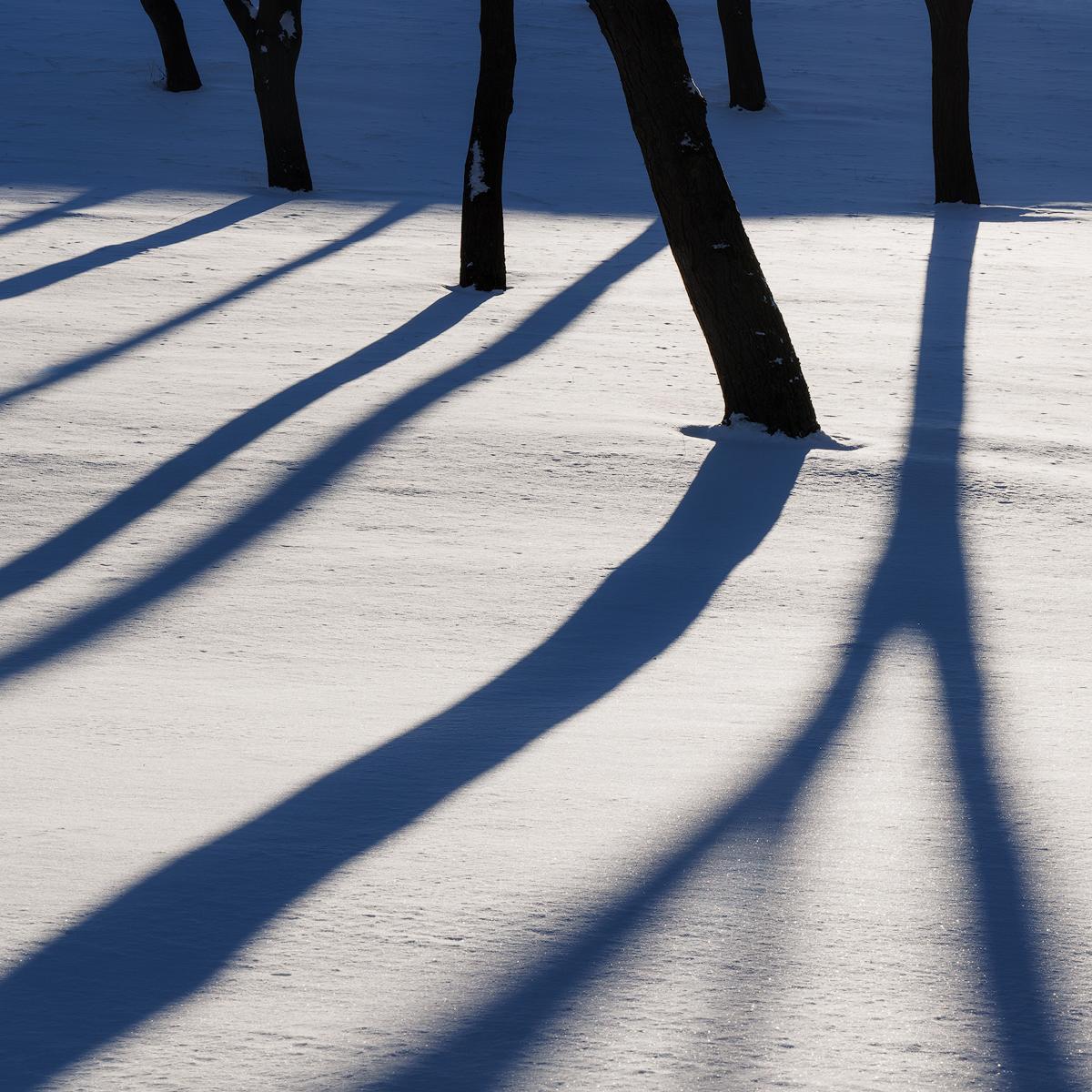 Shadows by Martin Rak, Photography, Digital | Art Limited