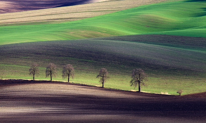 Shadowplay by Martin Rak, art work | Art Limited