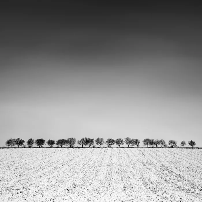 Alley by Martin Rak, Photography, Digital | Art Limited