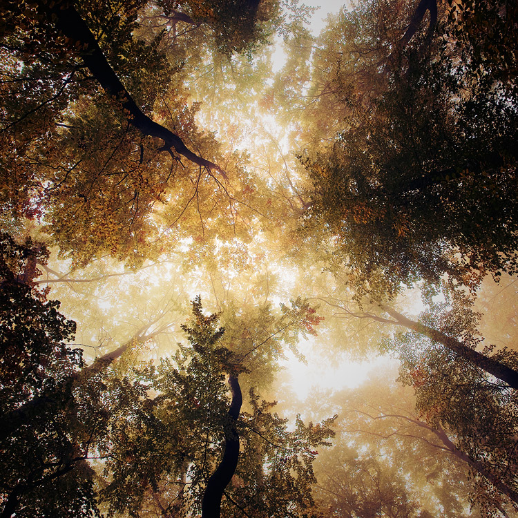 Vertigo by Alain Baumgarten, Photography, Digital | Art Limited