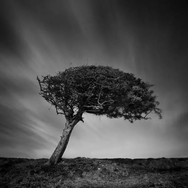 Harbour by Bill Allen, Photography, Digital | Art Limited