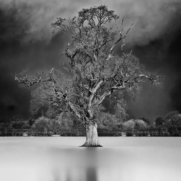 Harbour by Bill Allen, Photography, Digital | Art Limited