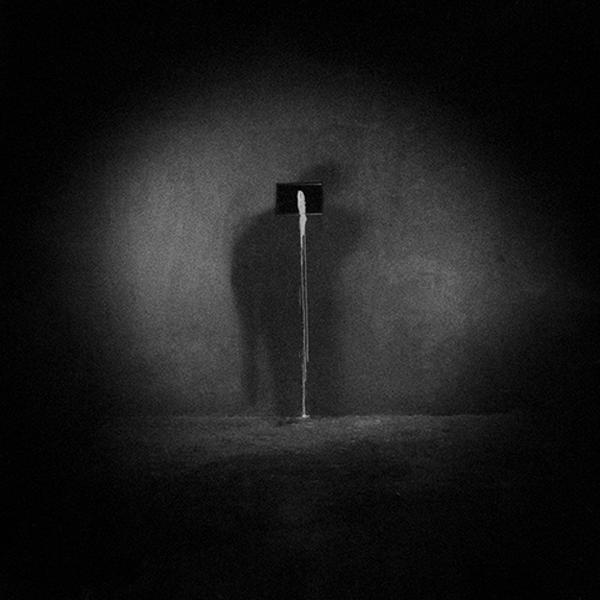 V by Leon Bugaev, Photography | Art Limited