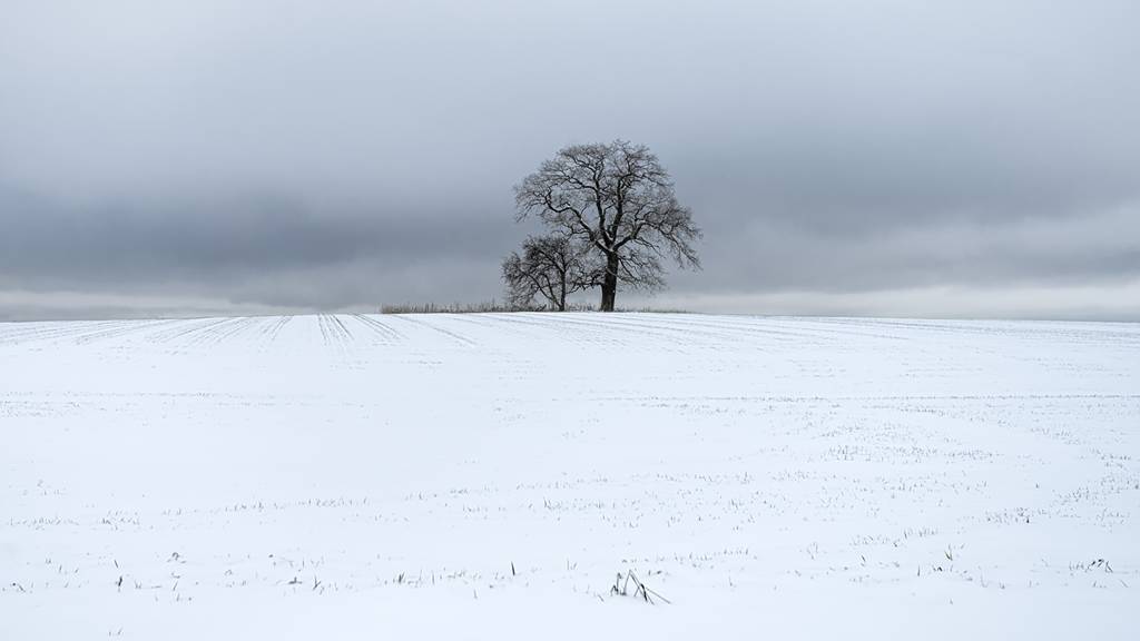 Gentle Winter Scenery #3 by Gundula Walz, Photography, Digital | Art ...