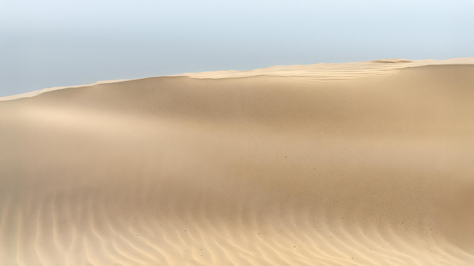 In The Dunes by Gundula Walz, Photography, Digital | Art Limited