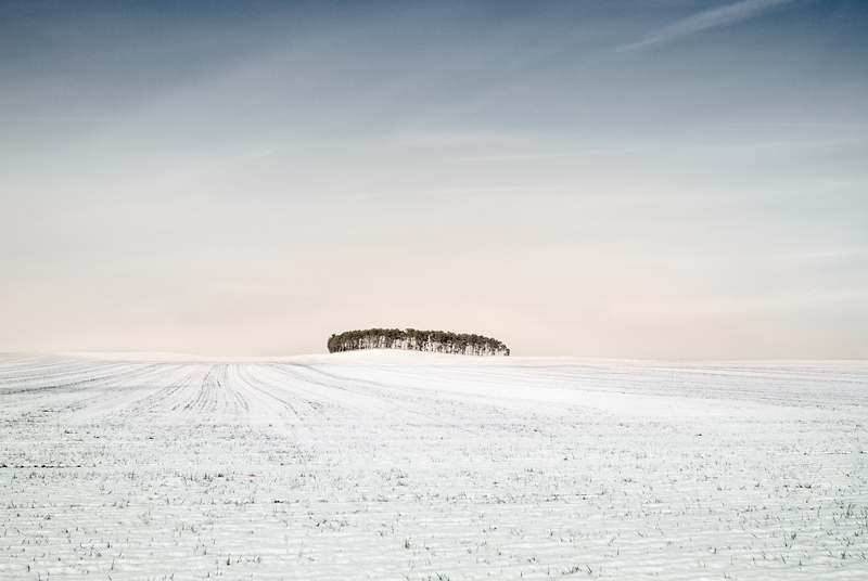 Distant Forest by Gundula Walz, Photography, Digital | Art Limited