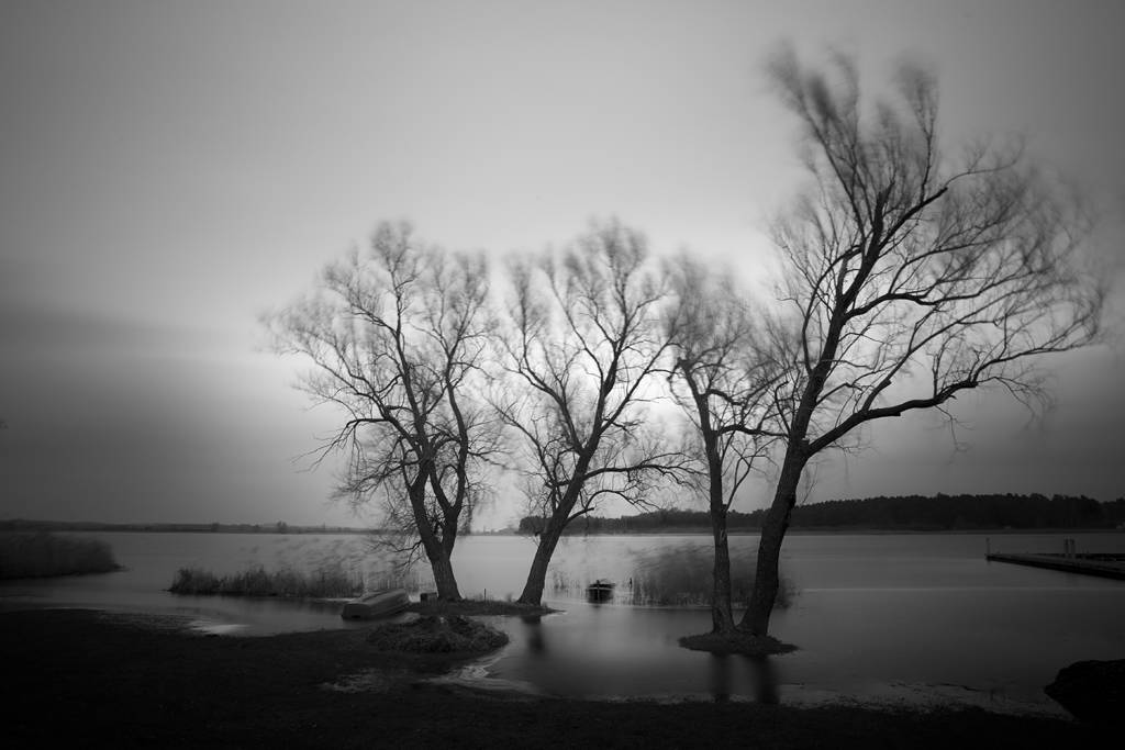 Windy Day At The Lake by Gundula Walz, Photography, Digital | Art Limited