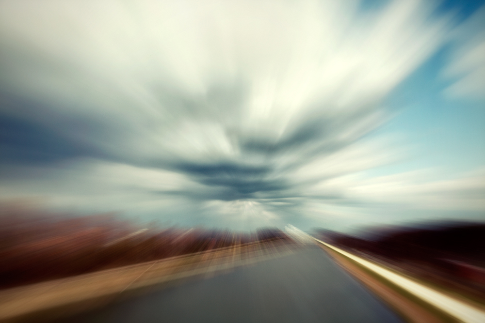 Fast Like The Wind by Maria Frodl, art work | Art Limited