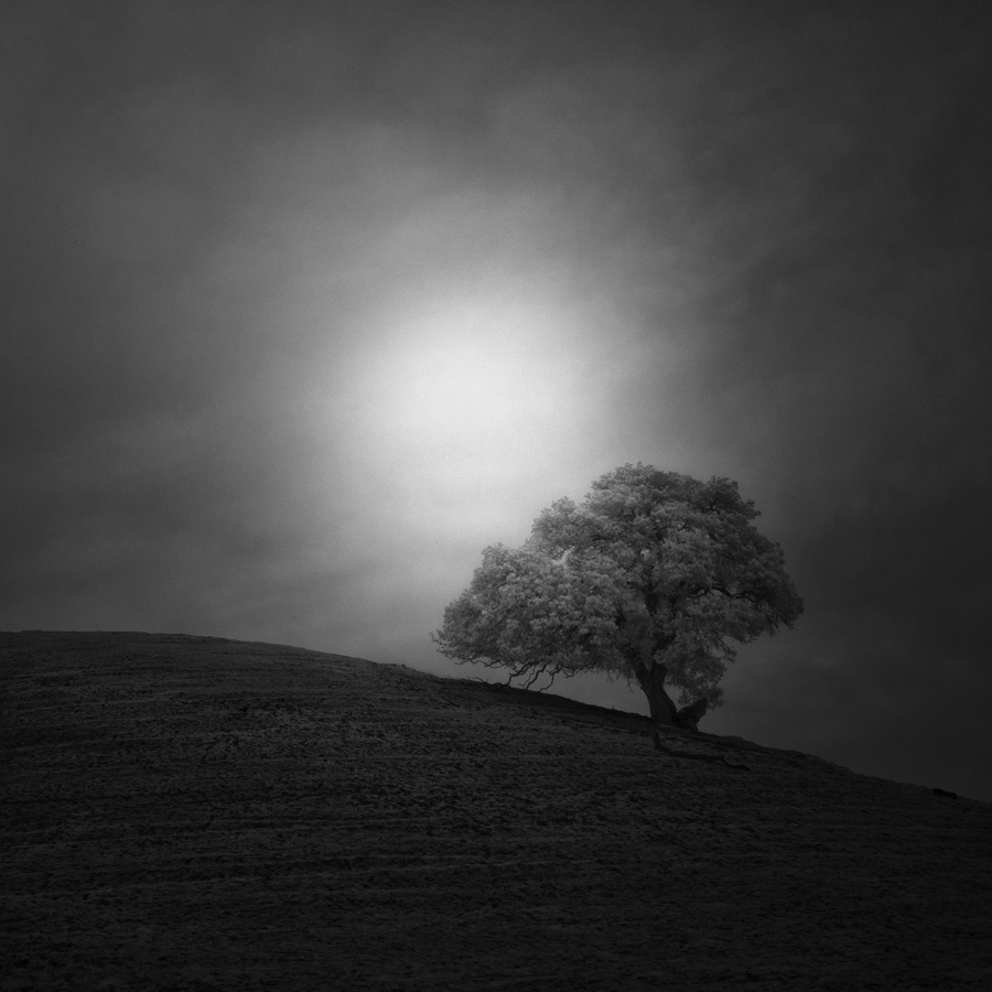 Infrared Silence by Nathan Wirth, Photography, Digital | Art Limited