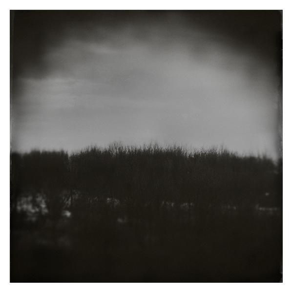 Alter-W by Stanca Valentin Laurentiu, art work | Art Limited