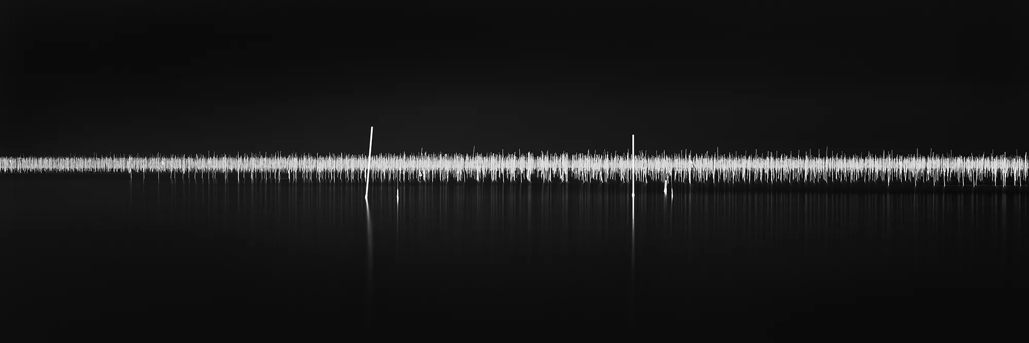 Frequency by Gavin Dunbar, Photography, Digital | Art Limited