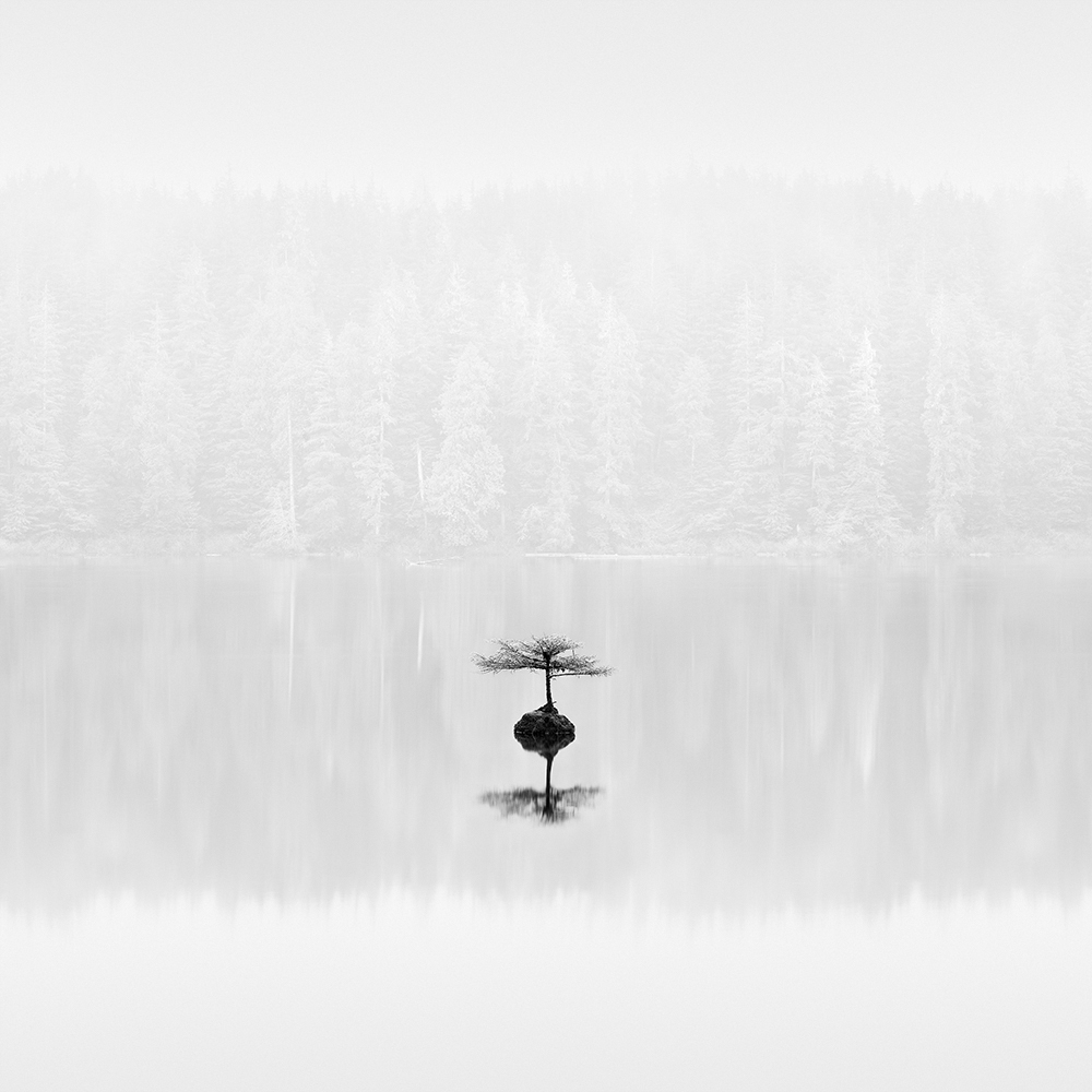 Outcast by Gavin Dunbar, Photography, Digital | Art Limited