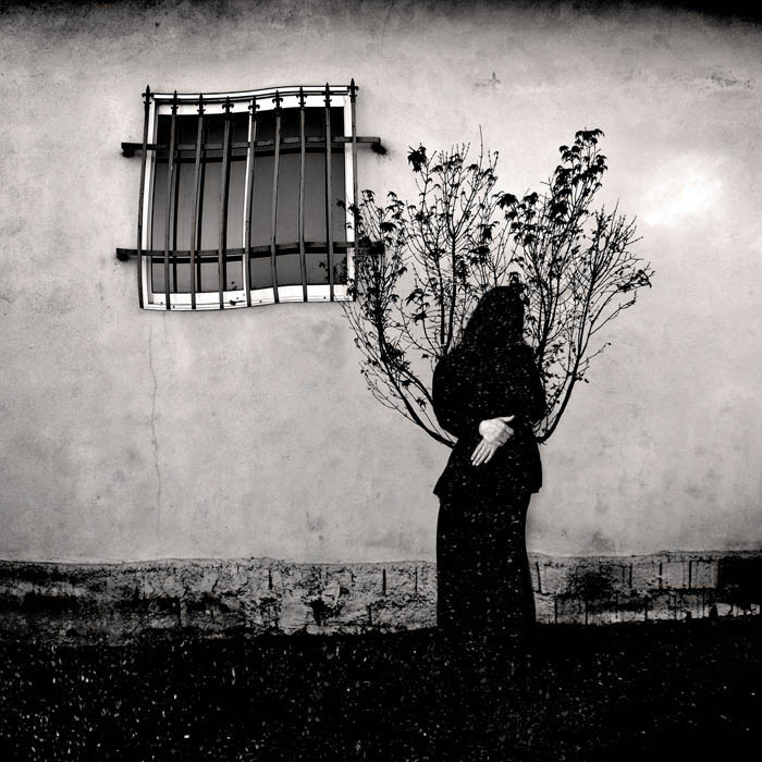 Untitled by Ghorbanzadeh Samad, art work | Art Limited